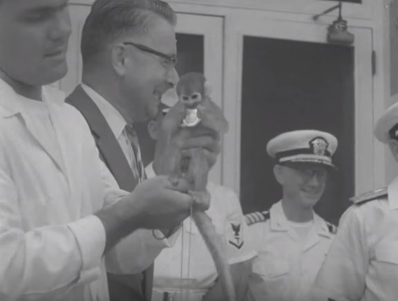 A Medal for Miss Baker, the Original Space Monkey – The Unwritten Record