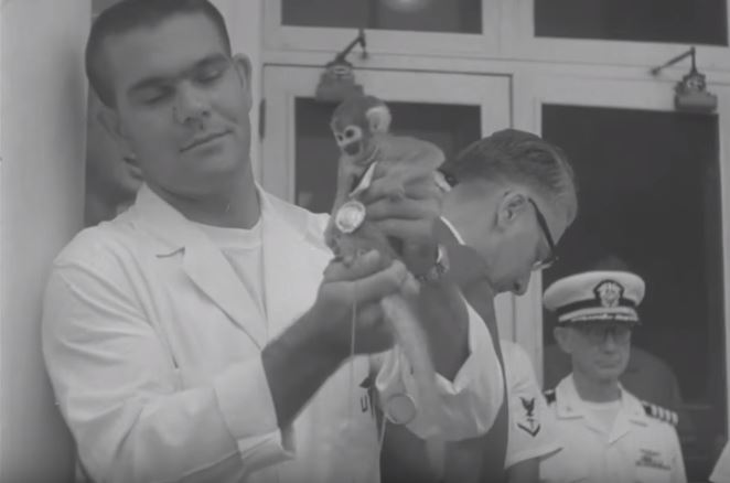 A Medal for Miss Baker, the Original Space Monkey – The Unwritten Record