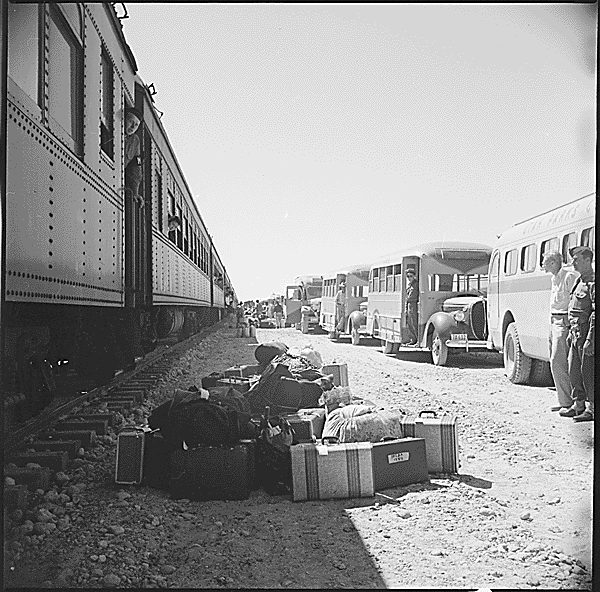 Fractured Ideals: Japanese American Internment through a Government ...