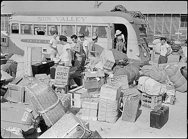 Fractured Ideals: Japanese American Internment through a Government ...