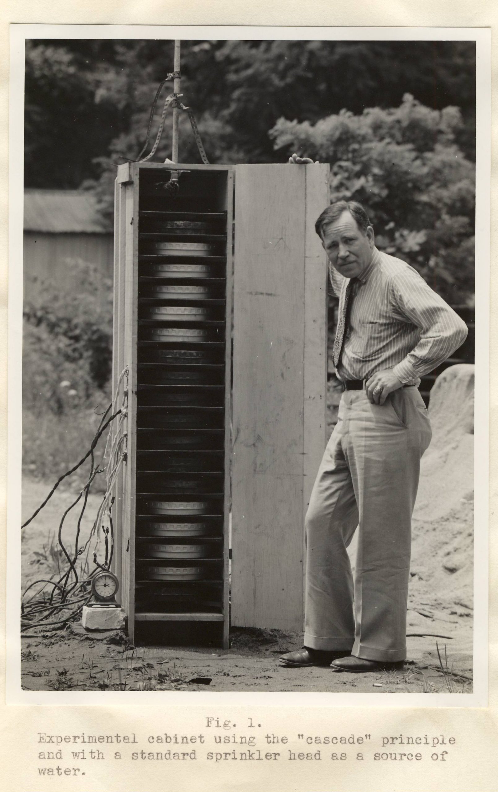 Film Preservation 101: Is Nitrate Film Really Dangerous? – The ...