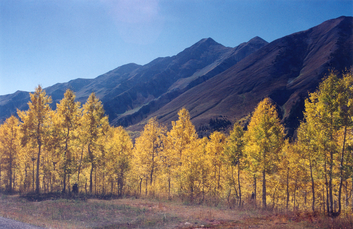 Nebo Loop Scenic Byway – Aspens on Nebo Loop – The Unwritten Record